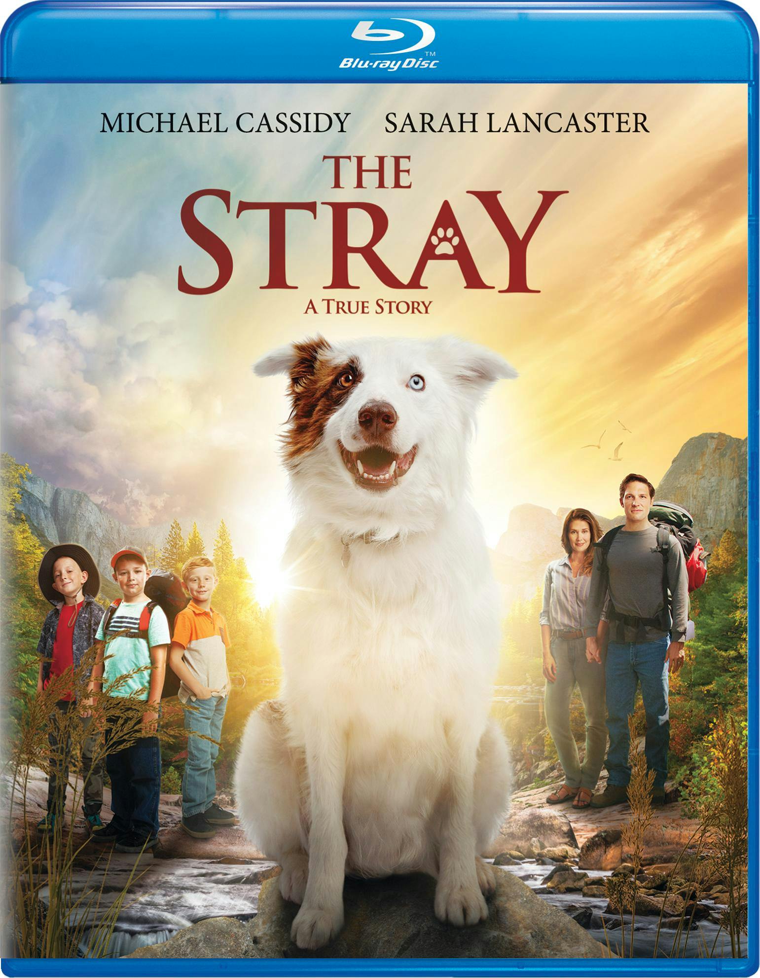 The Stray [Blu-ray] – GRUV Entertainment